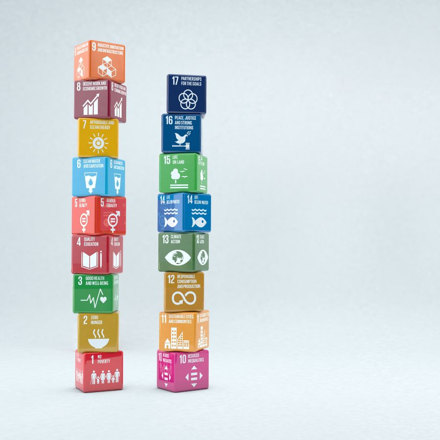 UN Sustainable Development Goals – The Mallorn Project