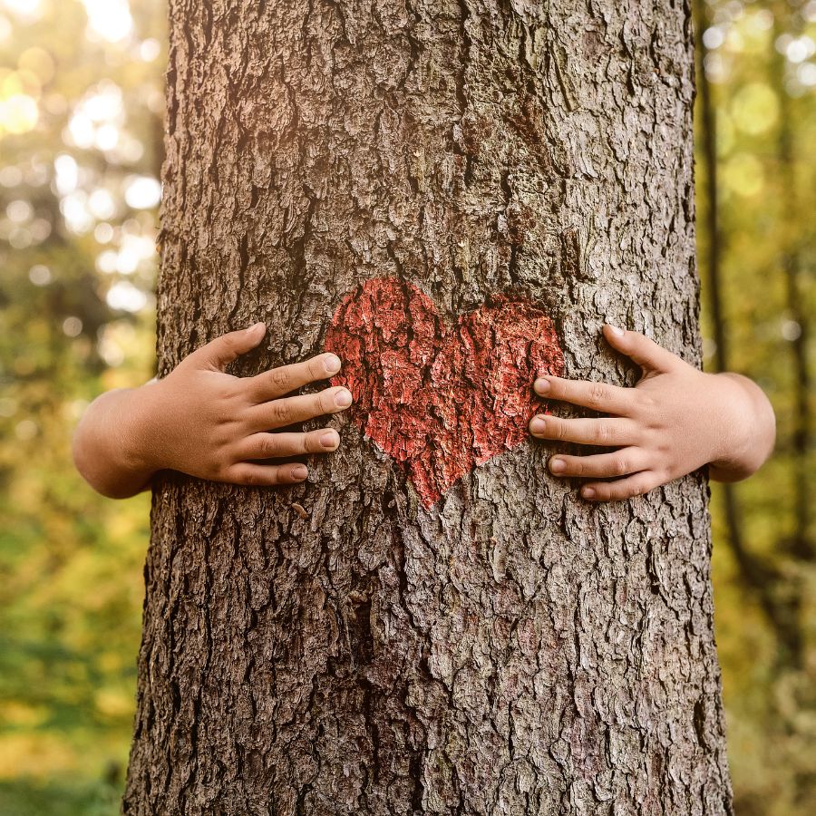 Human-Nature Connection & Conservation – The Mallorn Project