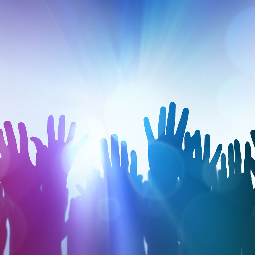 Earth Needs You! – The Mallorn Project
