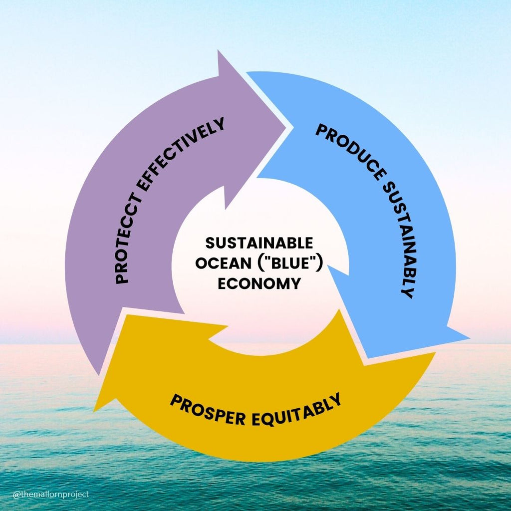Sustainable Ocean ("Blue") Economy – The Mallorn Project